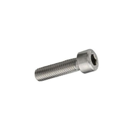 M2.5x10 Stainless Steel Cap Screw